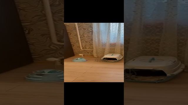 Стейси переехала в новый дом. Видеоотчет новой хозяйки.