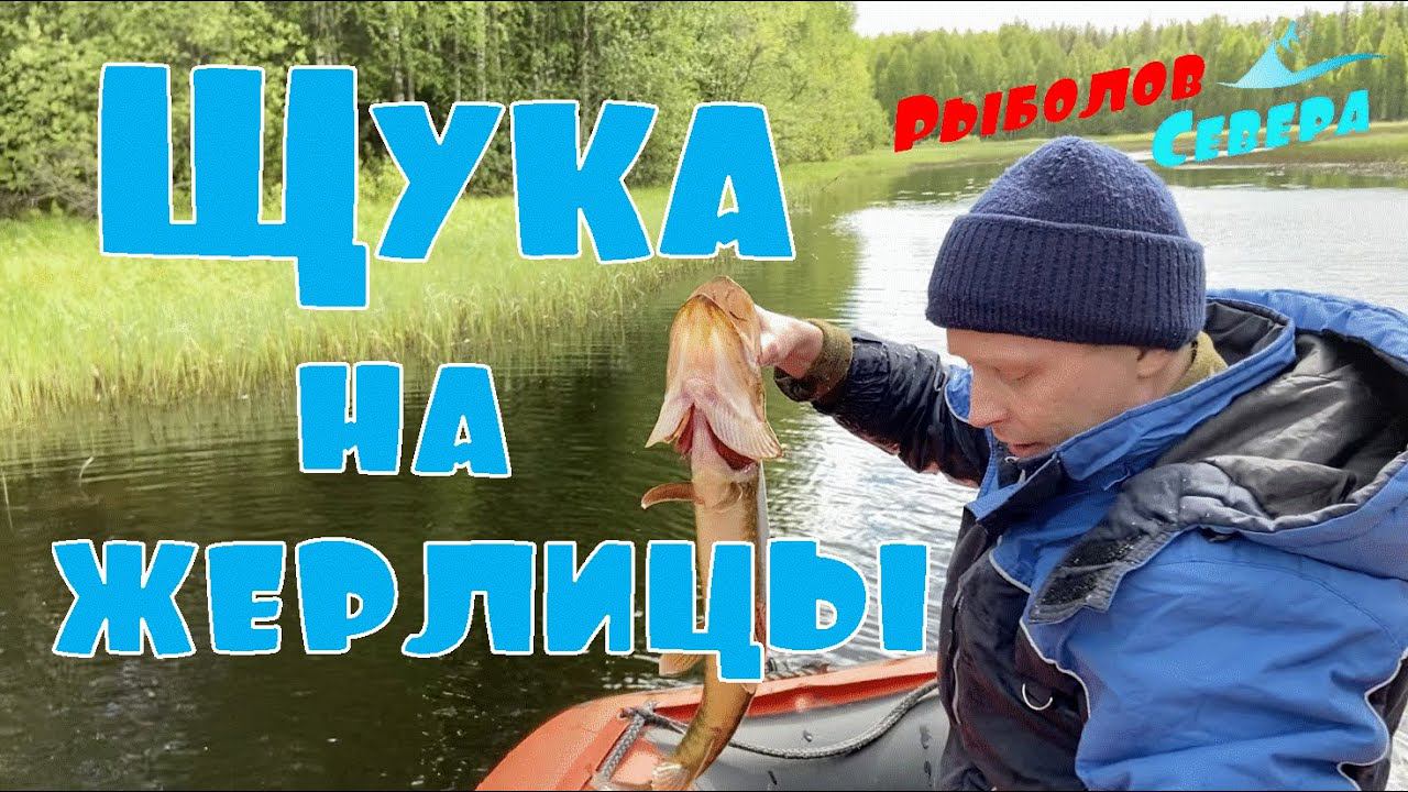 ЩУКА НА ЖЕРЛИЦЫ В АРХАНГЕЛЬСКОЙ ОБЛАСТИ. КАК ПРАВИЛЬНО УСТАНАВЛИВАТЬ ЖЕРЛИЦЫ.