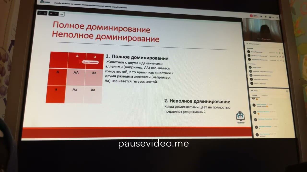 ДНК. Генетика. База.