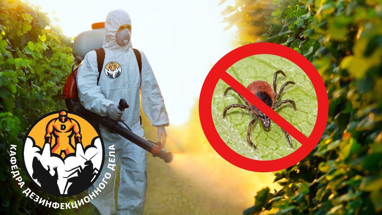 Обработка участка от клещей!