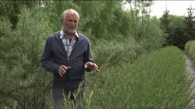 Илья Васецкий в Школе Ландшафтного Дизайна. Выпуск 2.mp4