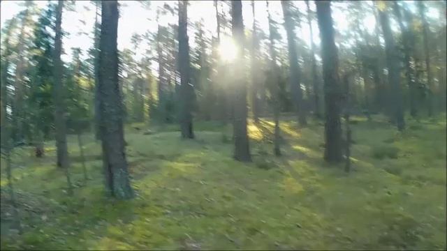 WHITE SIBERIA . Не рекламный отзыв