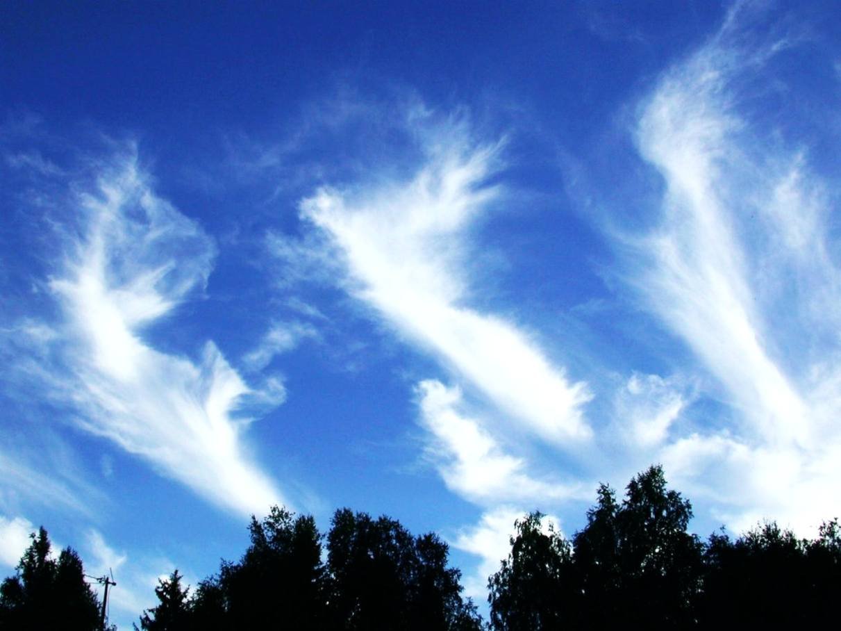 Танец ангелов. ч.3.