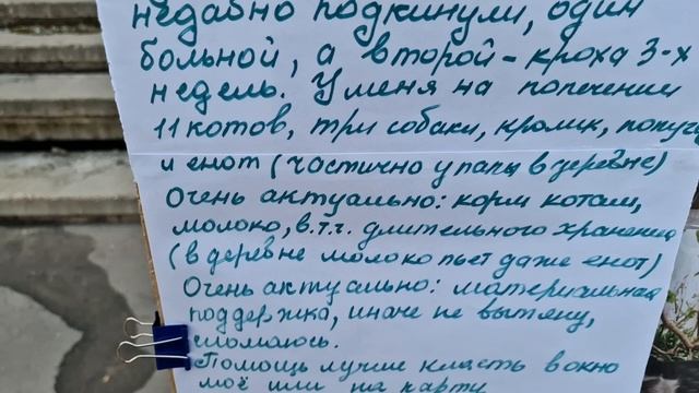 ПОГОДА В МОСКВЕ 18.04.2023/ПОМОЩЬ ЖИВОТНЫМ/НАРОДНОЕ ТВОРЧЕСТВО