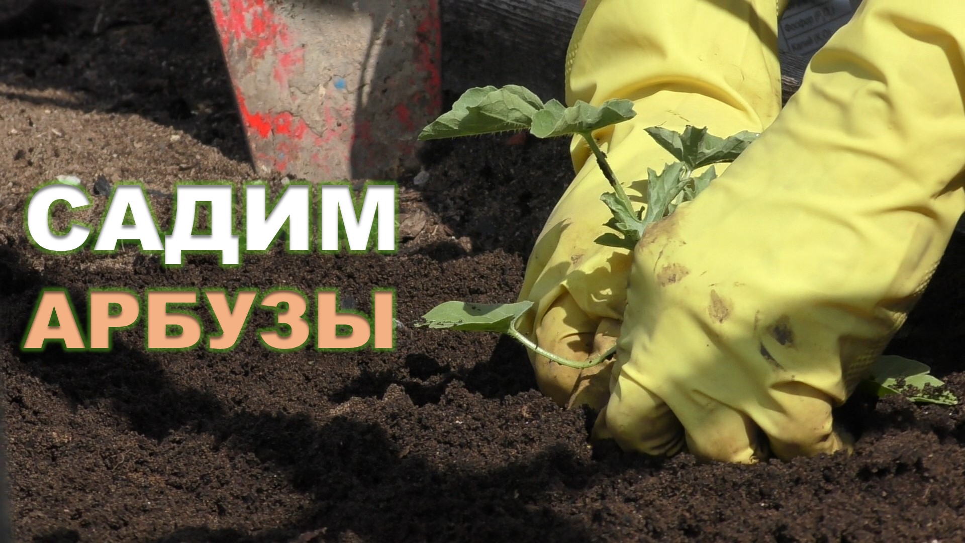 Сад и огород