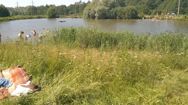 Зеленка. Пруд в Тульской области