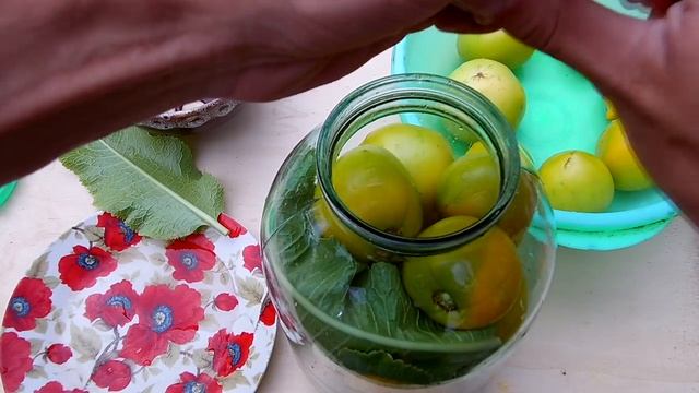 Зеленые помидоры холодного посола. Как бочковые. Заготовки на зиму. Без уксуса