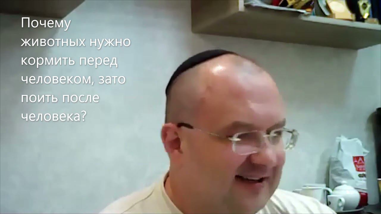 Почему животных нужно кормить перед человеком, зато поить после человека? Недельная глава Экев