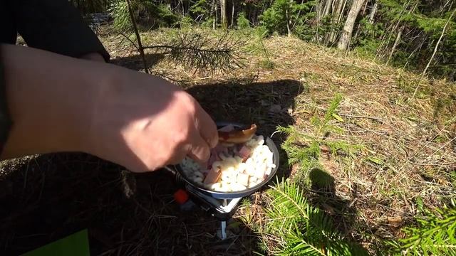 Пошли в лес. Жарим крылышки.(1)13апреля 2019.