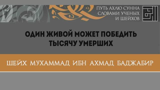 Шейх Мухаммад Баджабир: Современные шейхи или имамы прошлого? اللامذهبية