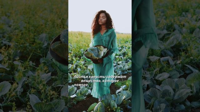 Факт про Капусту 🥬