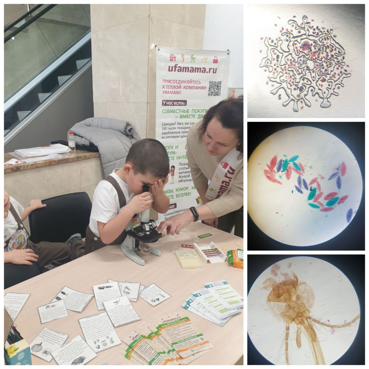 Семейный научный форум в Конгресс-холле Торатау.