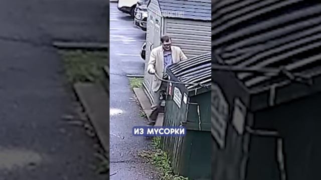 Директор школы наткнулся на медведя, запертого в мусорном баке  | Итак, новости!