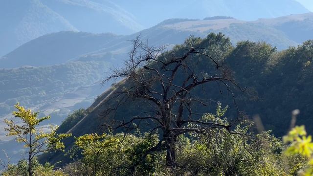 Чарующая природа