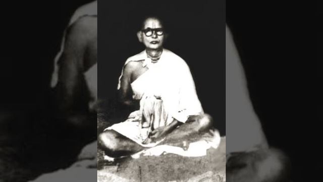 002 Существует бесконечное разнообразие премы, но есть огромное отличие в размере этих разных видов.