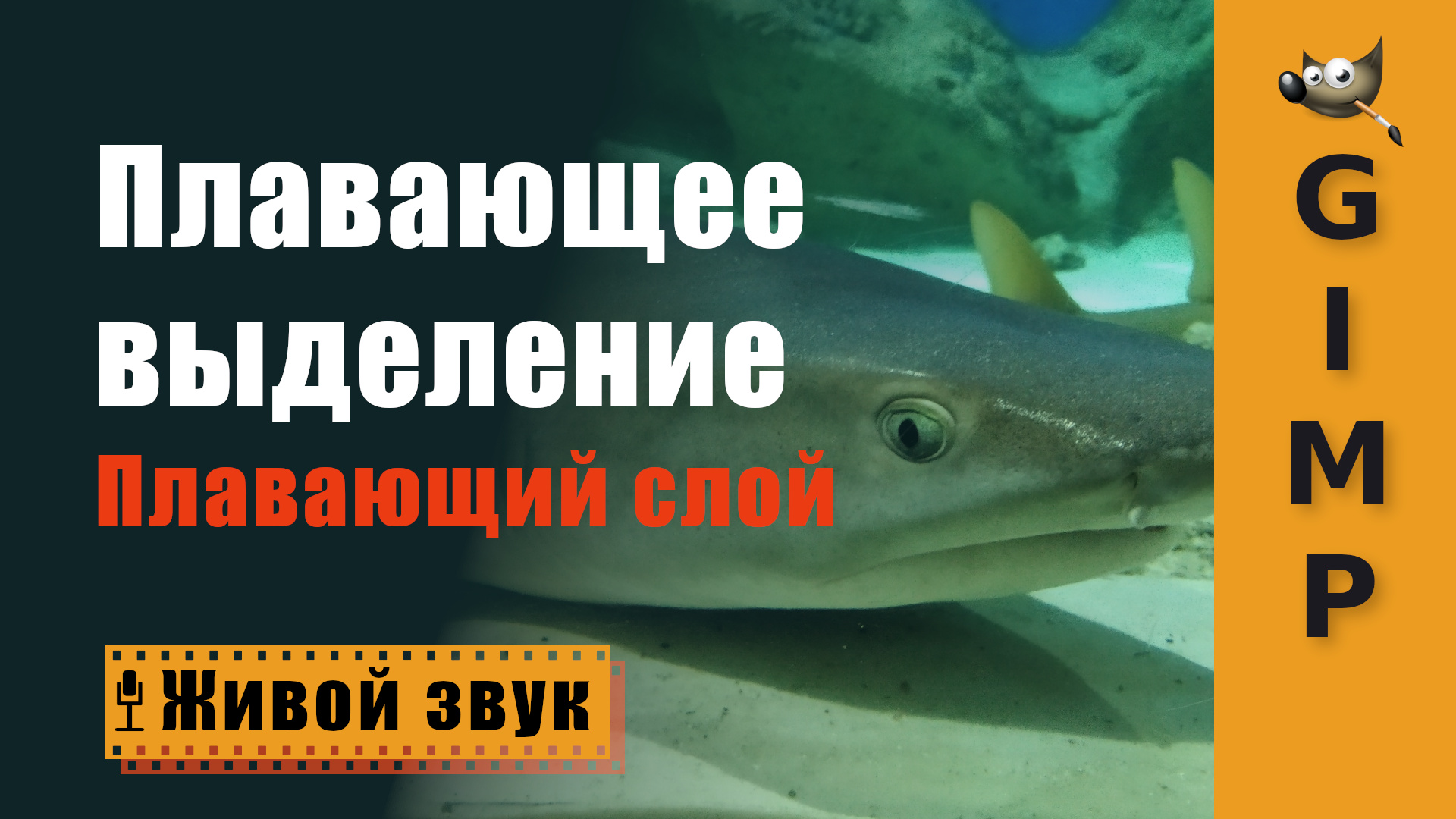 GIMP. Плавающее выделение (Плавающий слой)