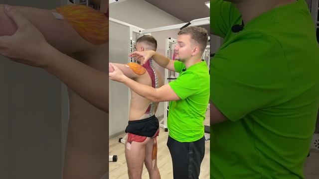 Почему у вас БОЛИТ ШЕЯ ?