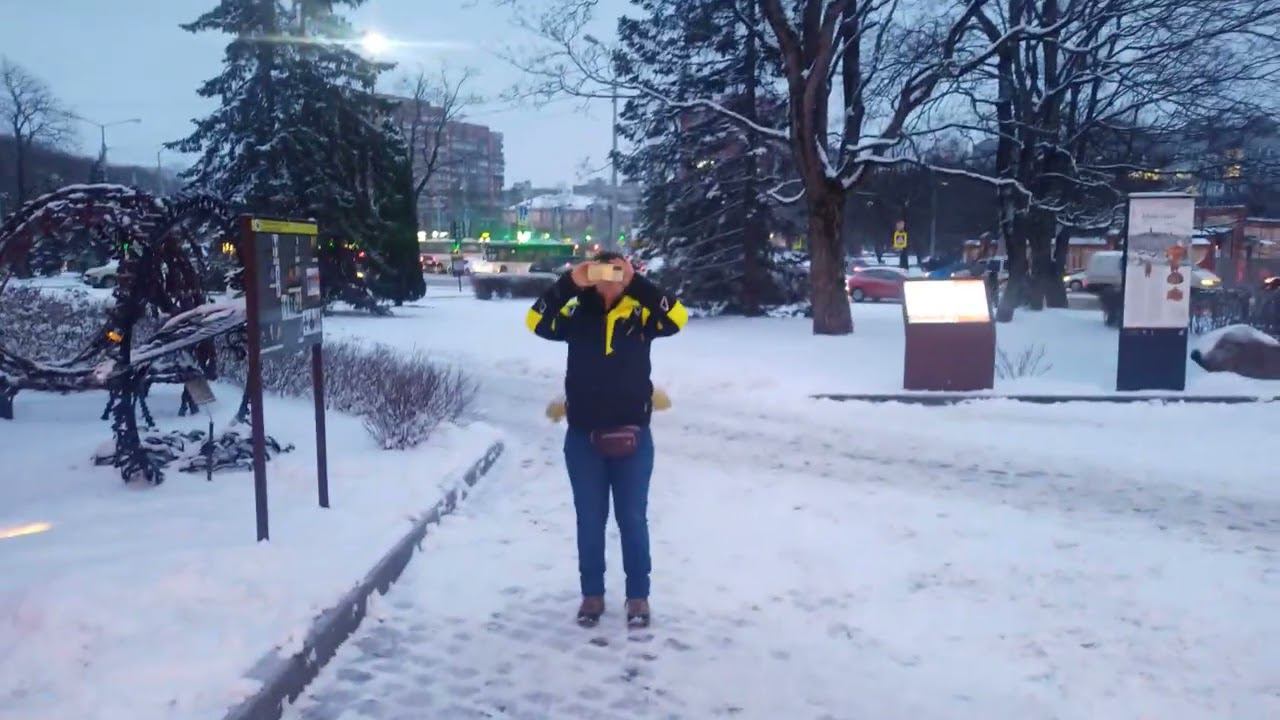 Калининград. Все хомлины