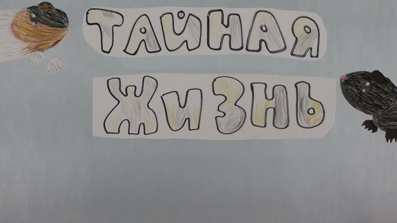 Тайная жизнь морских свинок