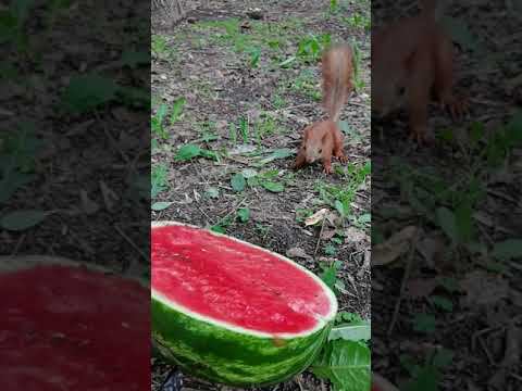 20 августа 2023 г.