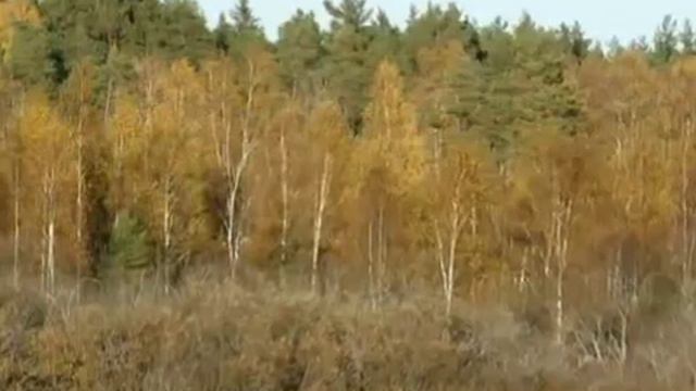 Бабье лето - Womеn summer