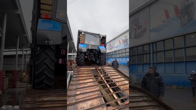 Синий чихает