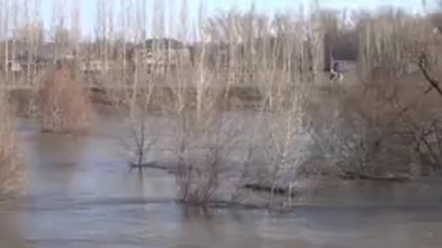 5 апреля. Орск.  Люди беспокоятся за час до прорыва  дамбы.