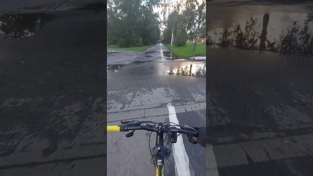 СибГИУ, проспект Бардина