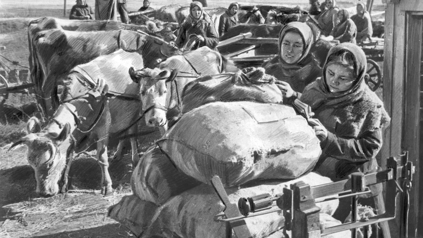 Живое забайкальское слово. Народные рассказы о Великой Отечественной. Часть 1