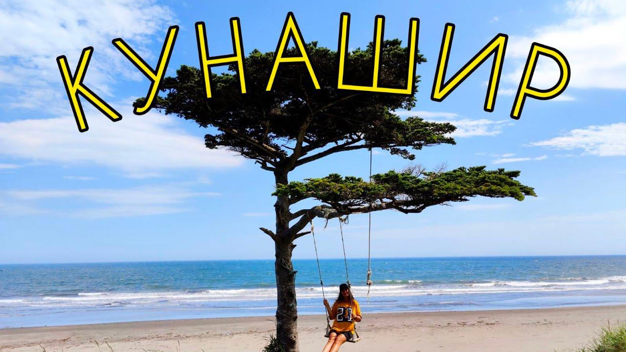 Кунашир на расслабоне! Пляжный отдых, собрали морепродукты, встретили диких лошадей и орланов! #10