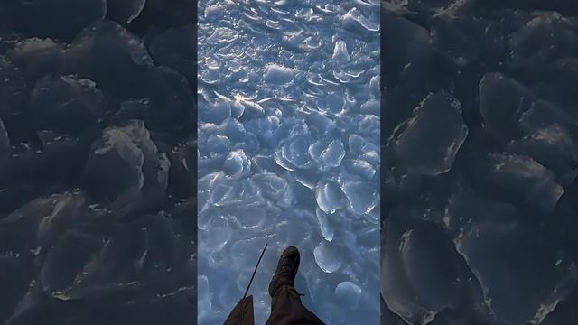 Ледяные чешуйки Японского моря ?