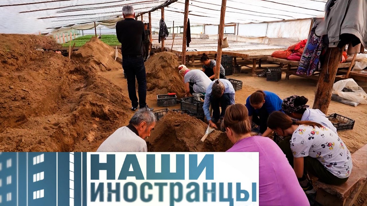 Превратить степь в плодородную землю и засеять поля рисом. Корейская диаспора в Казахстане