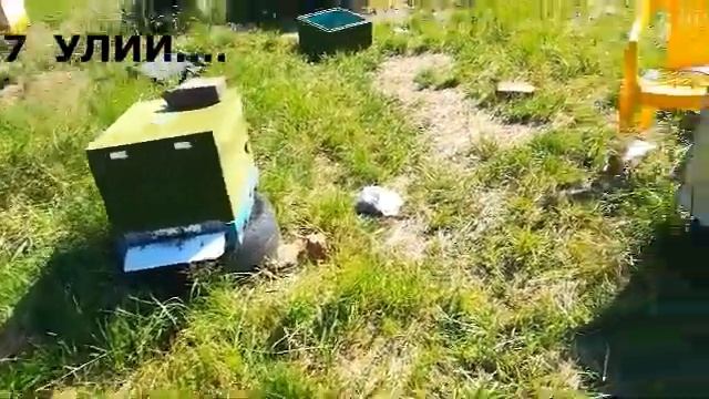 ДАЁМ НОВУЮ ЖИЗНЬ