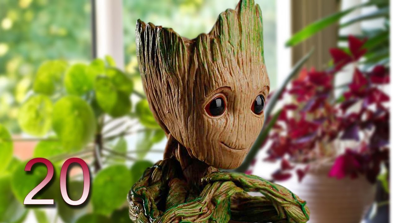 Полезные товары для дома с АлиЭкспресс