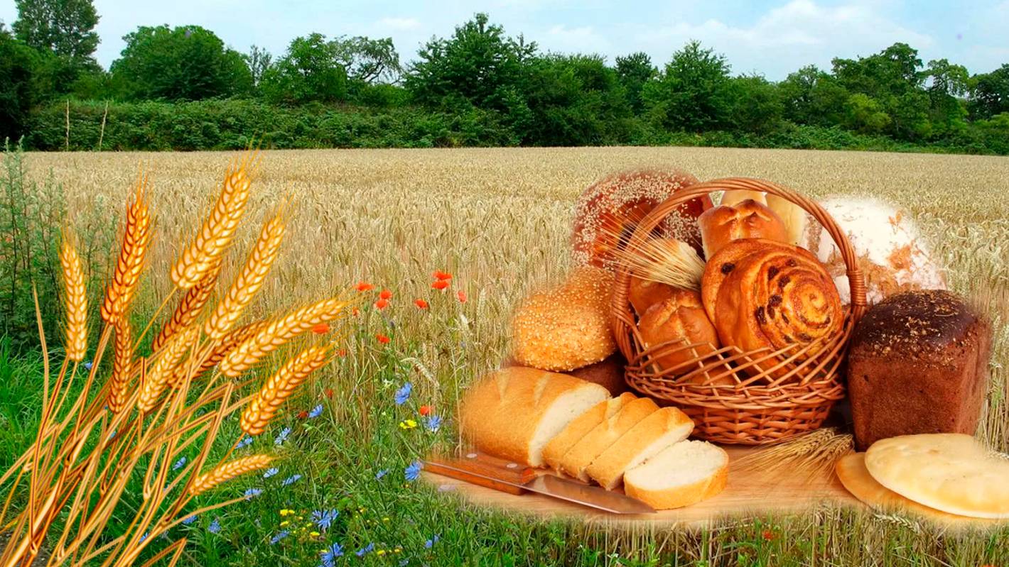 С Ореховым и Хлебным Спасом! Красивое поздравление!