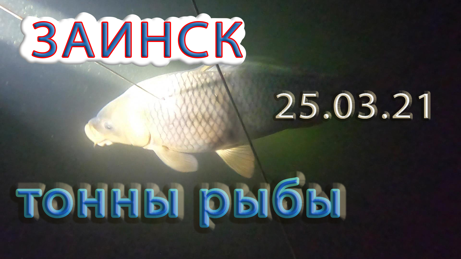 ПОДВОДНАЯ ОХОТА.ЗАИНСК 2021.ГРЭС.