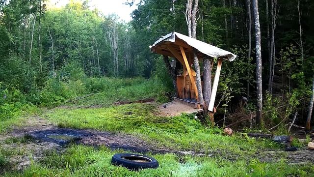 Птицы, запечатленные на фото ловушку. Часть № 37