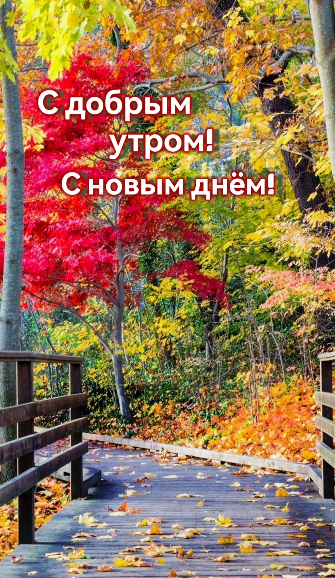 🍂 С добрым осенним утром, днём!