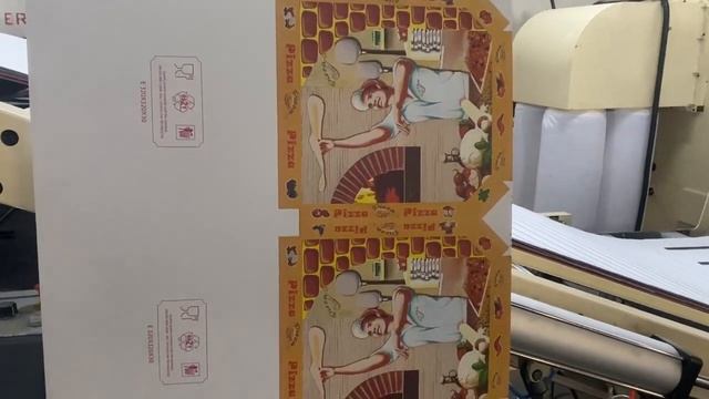 Printing line for flatbed die-cutters.mp4