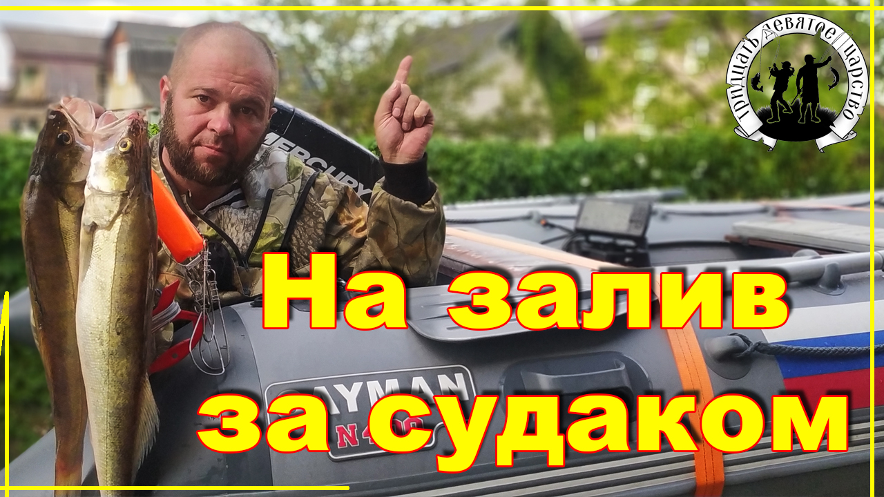 Ловля судака на джиг и уловистые приманки.