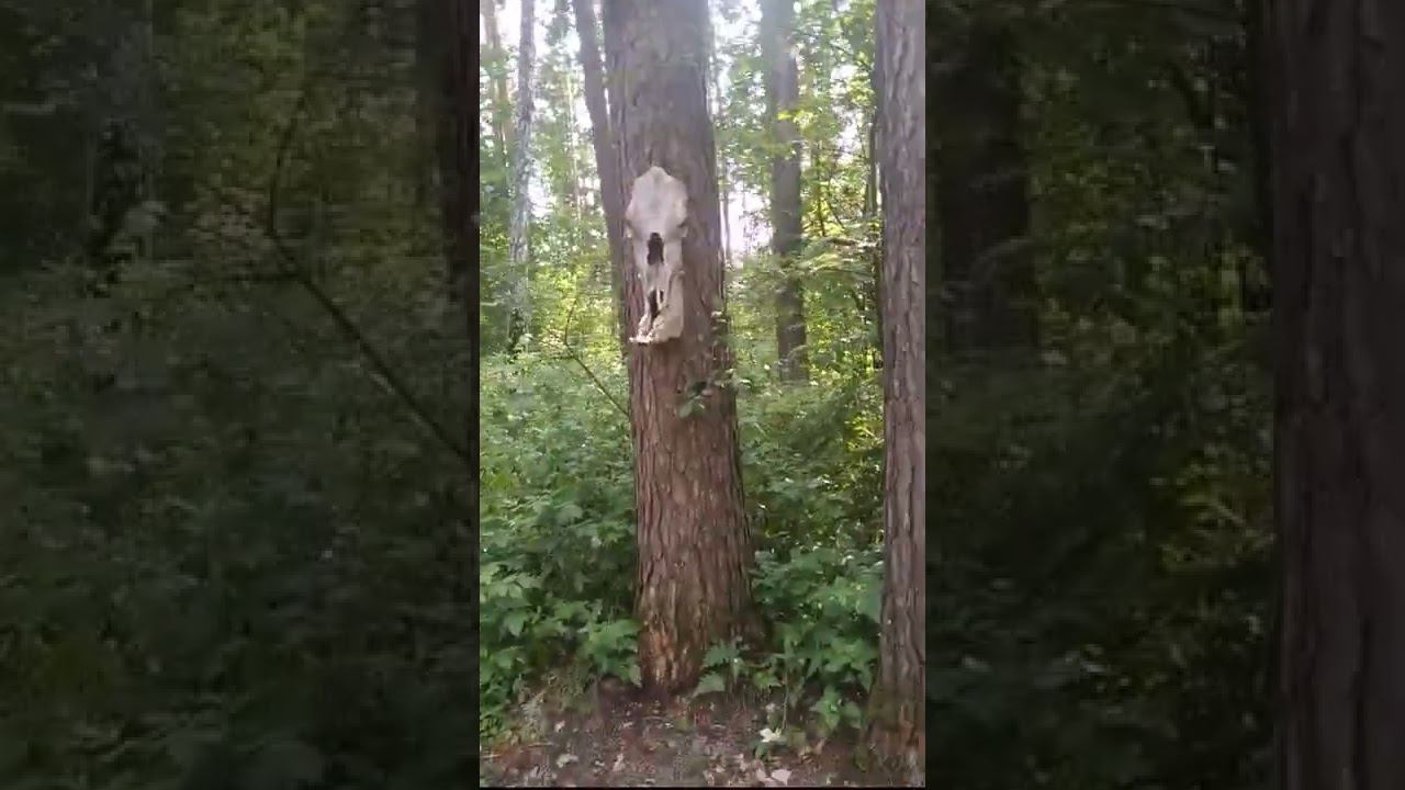 Славянское капище в Томской писанице