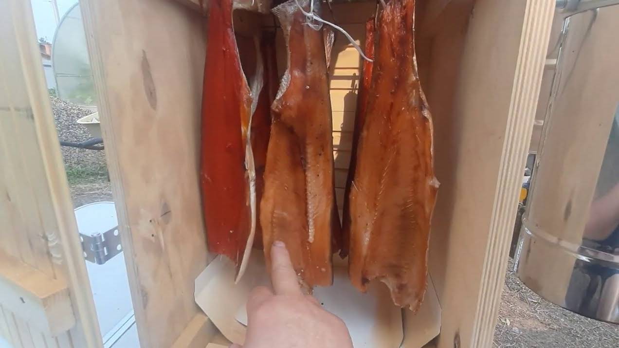 Коптим радужную форель и другую рыбу холодным копчением