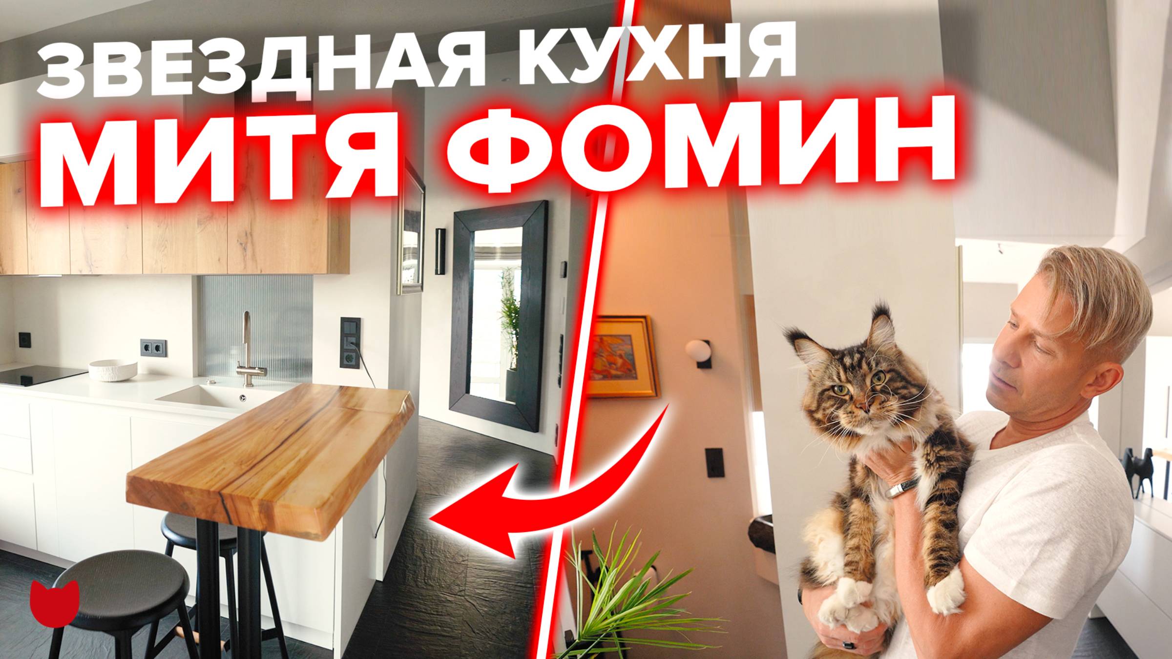 В гостях у Мити ФОМИНА. КУХНЯ вместо ВАННОЙ?! Обзор уютной Кухни. Скрытый Телевизор. КУЧА хранения