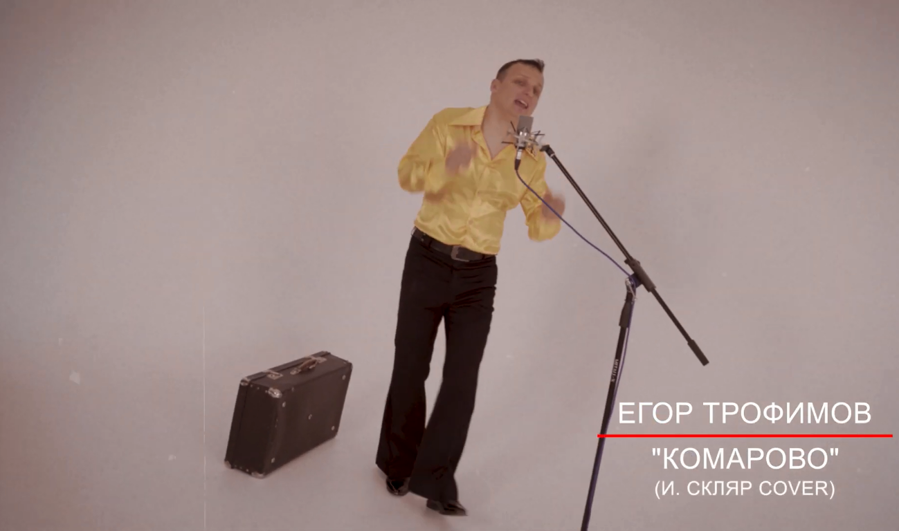 ЕГОР ТРОФИМОВ - "Комарово" (И. СКЛЯР COVER)
