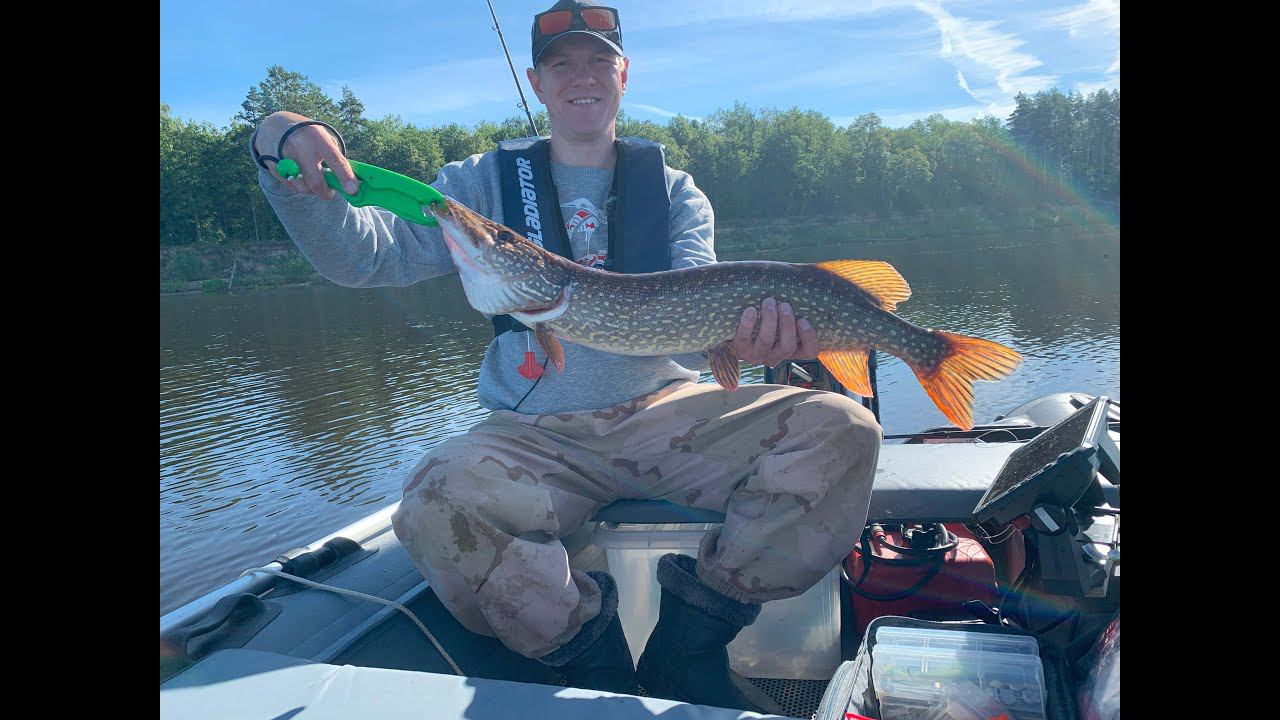 Летняя рыбалка на спиннинг с лодки. С компаньоном. Рыбы наловили