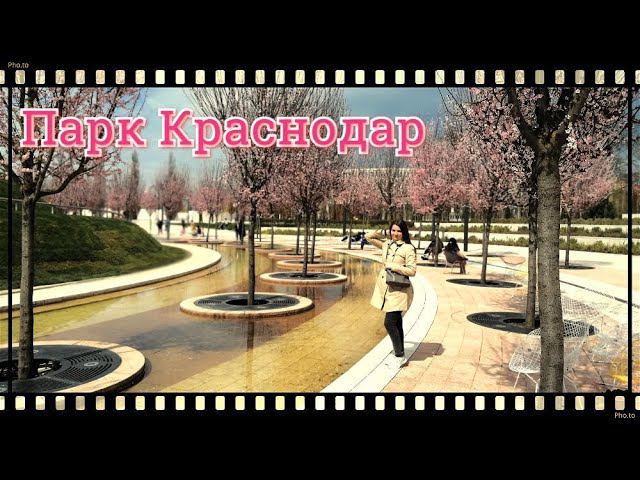 Весна в парке Галицкого ( Краснодар )  Жизнь на юге.