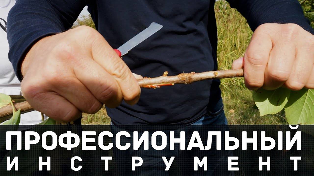 Демонстрация инструмента в "Де-Густо"