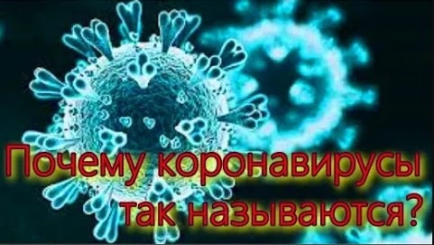 Почему коронавирус так назвали_