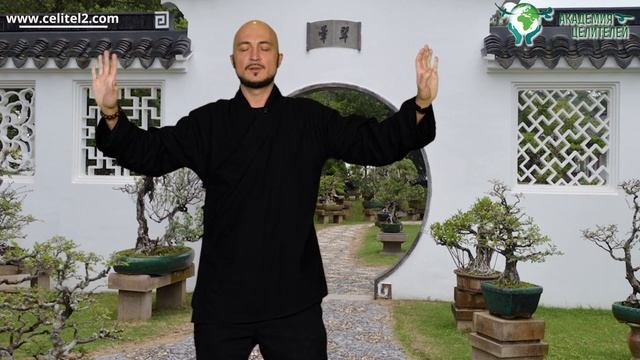 5 мин для восстановления легких. Дыхательная практика для легких Константин Перо. Академия Целителей