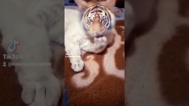 29 марта 2022 г..mp4